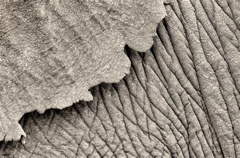 Beautiful Texture Pictures To Inspire You