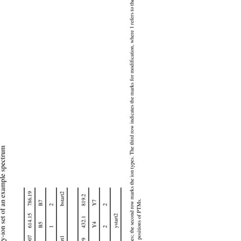 A Tree Decomposition And Its Corresponding Dynamic Programming Tables
