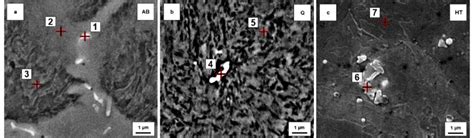 Sem Micrographs Used For Edx Spot Analysis A Of Ab Sample B Of Q
