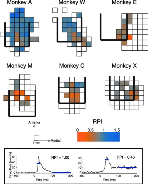 Maps Of Temporal Profile Of Response In The Horizontal Plane Maps