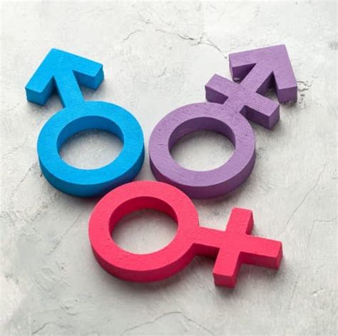 Transgenderism Gender And Sex Reflection On The Trans Law