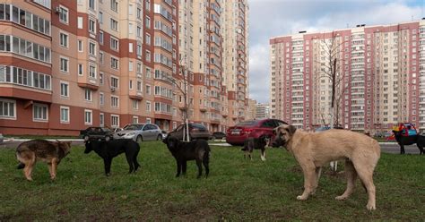 Курск: выжить среди торговых центров — Teletype