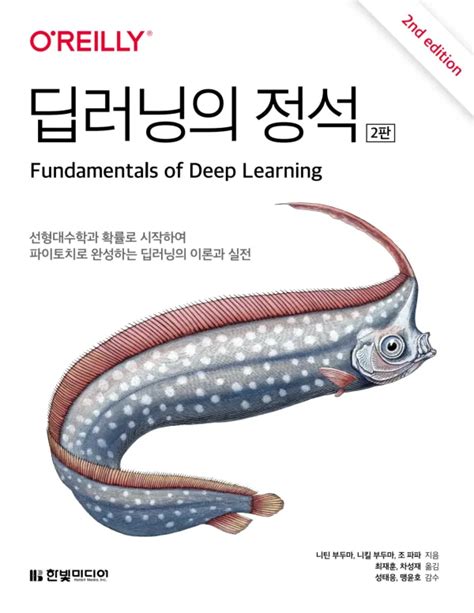 도서 리뷰 딥러닝의 정석 2판 Fundamentals of Deep Learning 2nd edition