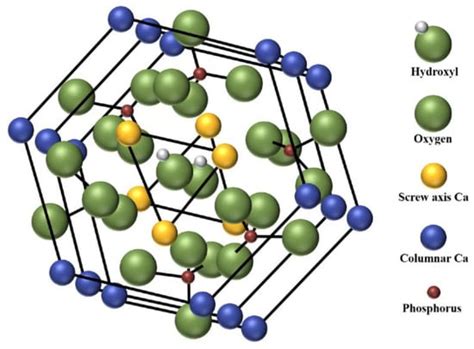 Latest Research Of Doped Hydroxyapatite For Bone Tissue Engineering