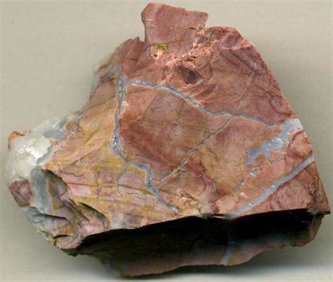vanport flint 3 5 cm across along the bottom with pale bluish gray