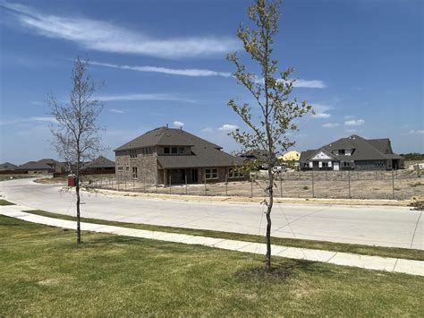 Newbie To Landscaping Tree Questions Rlandscaping