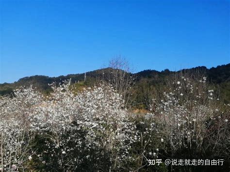『阿婆六村』广州海拔最高的村落！700米山顶露营观星 探访100个广州周边游好去处 知乎