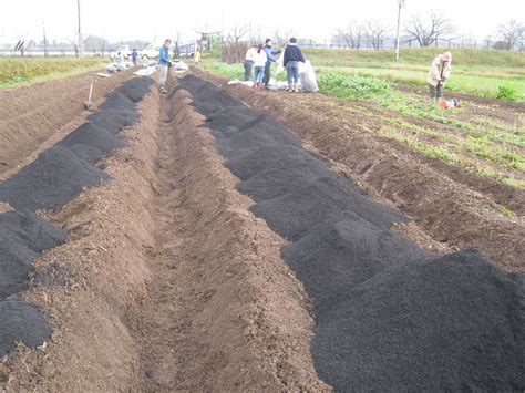 バイオ炭のj クレジットが認証されました Japan Biochar Consor
