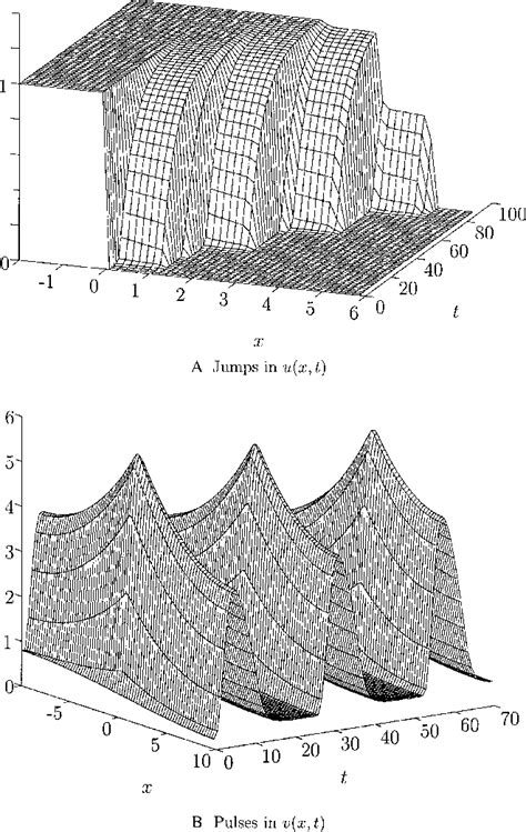 Numerical Solution For The Signalling Model Showing The Spatio Temporal Download Scientific