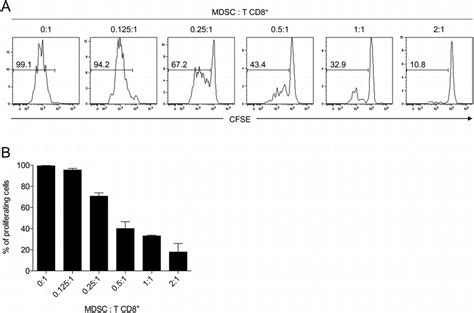 Bm Derived Mdsc Efficiently Inhibit T Cell Proliferation In Vitro Cd8
