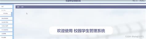 计算机毕设node js vue校园学生管理系统（程序 lw 部署）