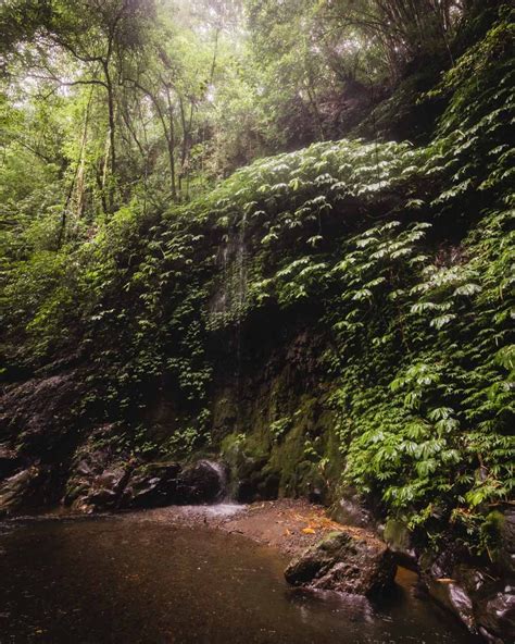 Gitgit Twin Waterfall Balis Incredible Canyon Waterfall — Walk My World Gitgit Twin Waterfall Balis Incredible Canyon Waterfall — Walk My World