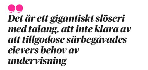 Om Särbegåvade Elever I Dn Mona Liljedahl