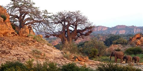 Tuli Block Botswana S Largest Private Game Reserve