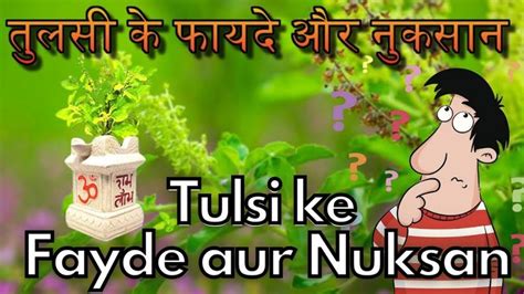 खाली पेट तुलसी के पत्ते खाने के फायदे Benefits Of Eating Basil Tulsi