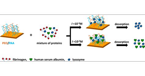 Mixed Polymer Brushes For The Selective Capture And Release Of Proteins Biomacromolecules