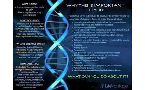 Protandim Nrf2 Synergizer By Lifevantage In Bennington Area Alignable