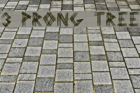Prong Tree Font FFonts Net Prong Tree Font FFonts Net