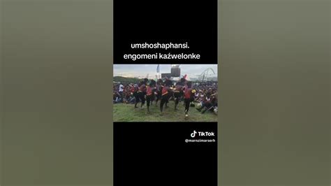 Ingoma Kazwelonke Youtube
