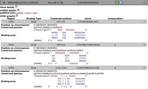 Detailed Information Of Mir 17 5p Download Scientific Diagram