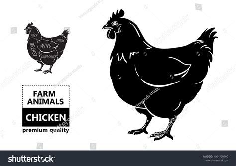 Cut Meat Set Poster Butcher Diagram Stock Vector Royalty Free
