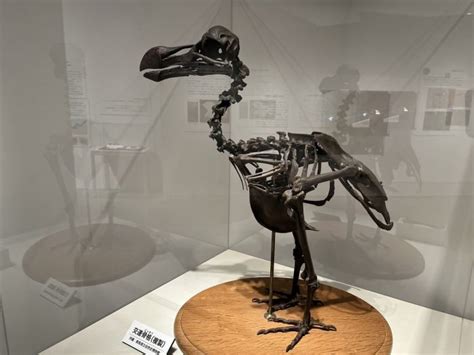 世界初公開のティラノサウルスも！攻・守の観点で進化を読み解く「恐竜博2023」開催 【be Pal】キャンプ、アウトドア、自然派生活の情報