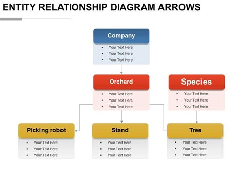 Entity Relationship Diagram Arrows PowerPoint Presentation Images Templates PPT Slide
