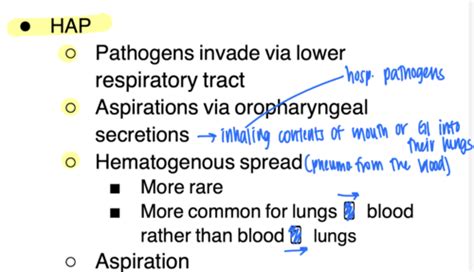 HAP And VAP Exam 4 Dr Shah Flashcards Quizlet