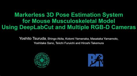 Markerless 3d Pose Estimation System For Mouse Musculoskeletal Model Youtube