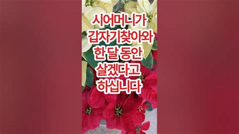 시어머니가 갑자기 함께 살겠다니 충격입니다 Youtube