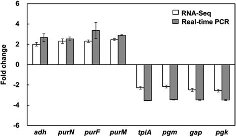 Rna Seq Based Transcriptome Analysis Of Methicillin Resistant