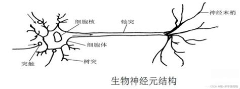 一、单层感知器（mcp人工神经元模型） 阿里云开发者社区
