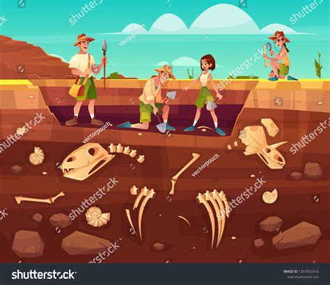 17277 화석발굴 이미지 스톡 사진 및 벡터 Shutterstock