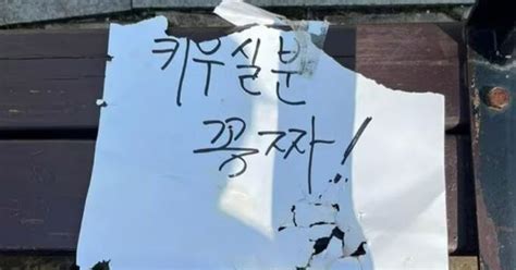 “키우실 분 공짜”유기견 옆 ‘황당 쪽지에 공분