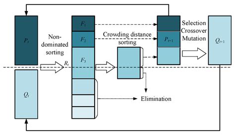Nsga Ii Algorithm Schematic Diagram Download Scientific Diagram