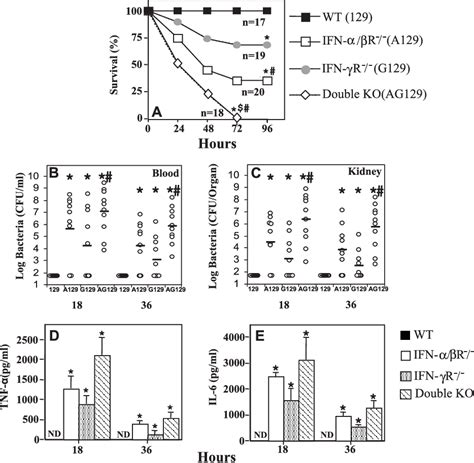Figure 1 From Type I Ifn Signaling Is Crucial For Host Resistance