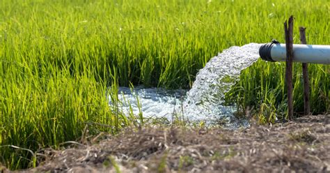 La Réutilisation Des Eaux Usées Traitées Reut En Méditerranée