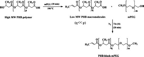 Scheme 1 The Synthetic Scheme For The Formation Of Pha Mpeg Diblock Download Scientific