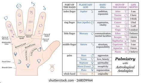8 299 Palmistry Images Stock Photos Vectors Shutterstock