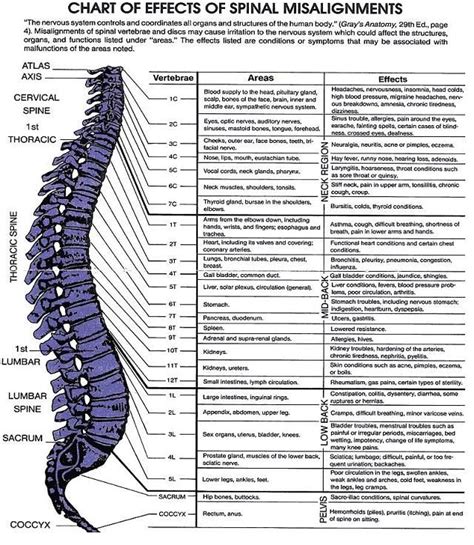 Pin On Physical Medicine Orthopaedic Chiro Etc