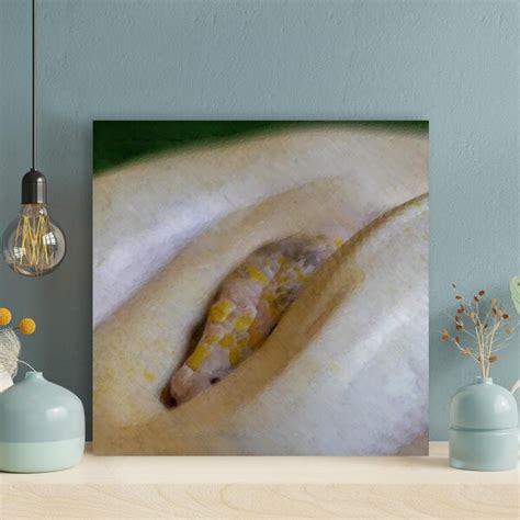 Latitude Run® Brown And White Snake On White Textile Painting Print