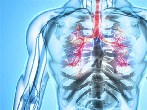 Asthma The Symptoms And Treatment Advice Everybody Needs To Know About