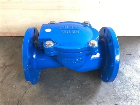 Pn16 Qt400 Rubber Flapper Swing Check Valve
