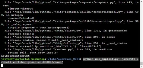Advanced Xxe Exploitation