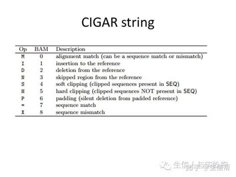 转录组分析流程RNAseq tophat Cufflinks 知乎