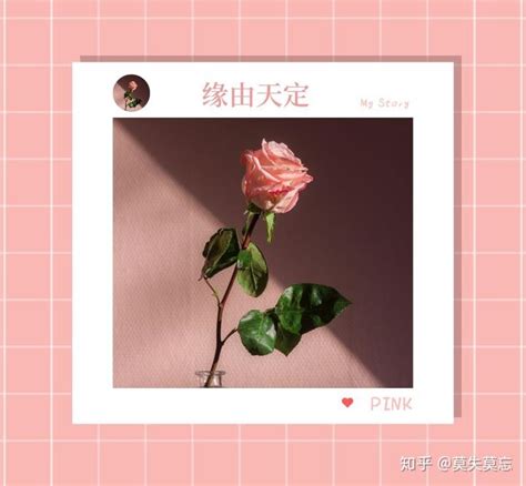 孤独患者 知乎