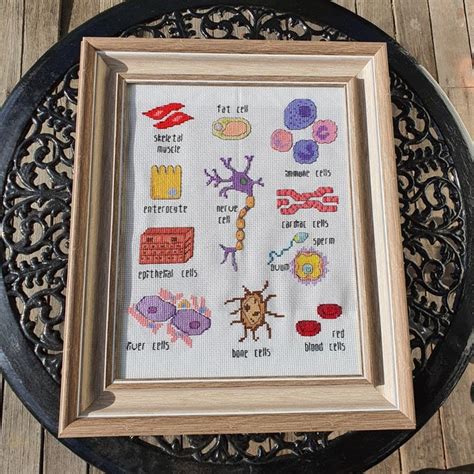 Science Cross Stitch Etsy