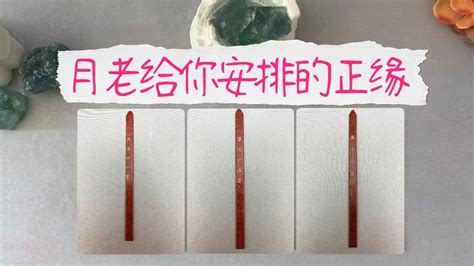 月老給你安排的正緣桃花到了、你們什麽時候結婚？ta是誰？長相、職業、性格、星座 曖昧愛情感情桃花塔羅占卜 Youtube