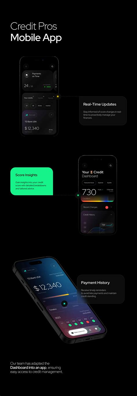 Credit Pros Dashboard Project Branding And Ux Ui Design Trial Example