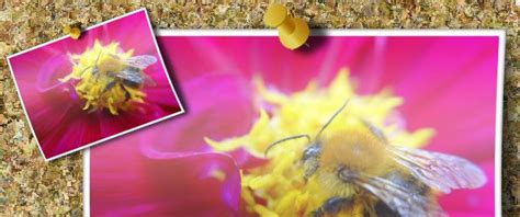 Tackit Mini Action Best Photoshop Actions Free Photoshop Actions